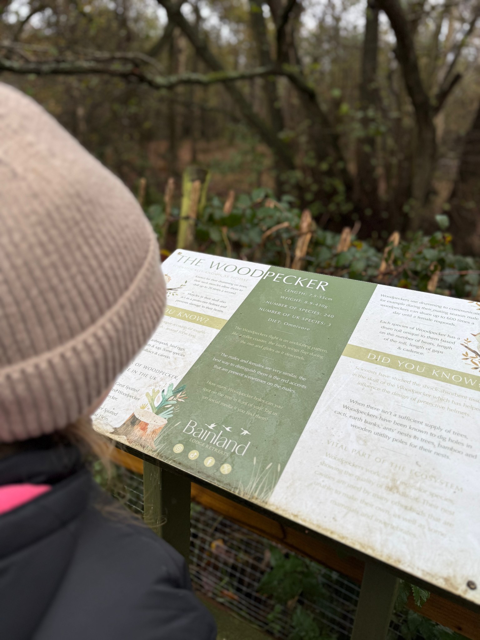 Bainland Lodge Retreats Review: A Luxury Family Stay in Woodhall Spa ...
